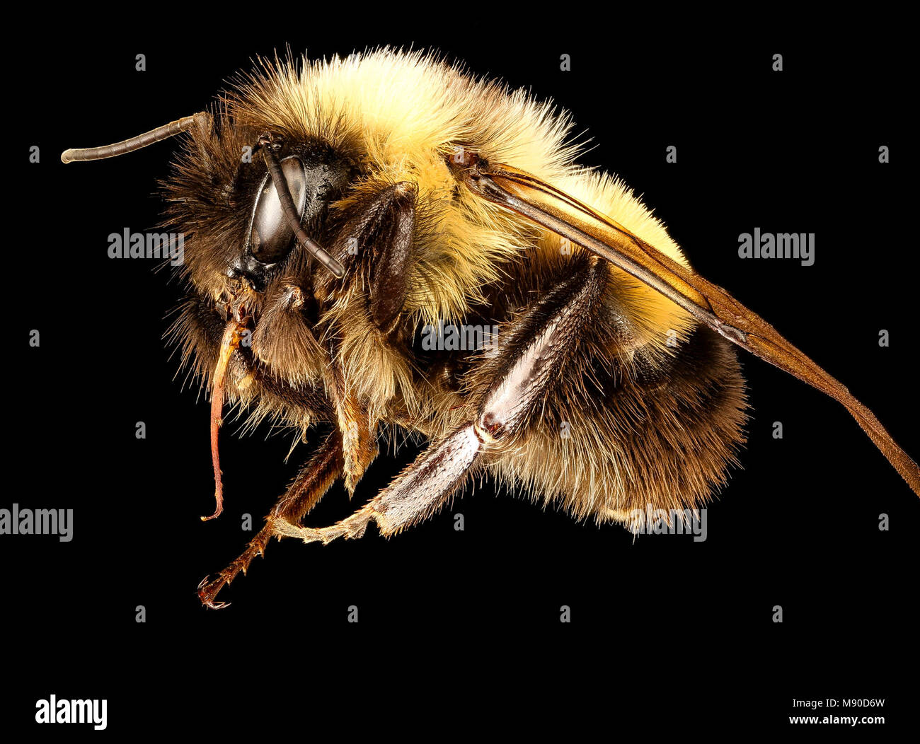 1964 hi res hi-res stock photography and images - Alamy