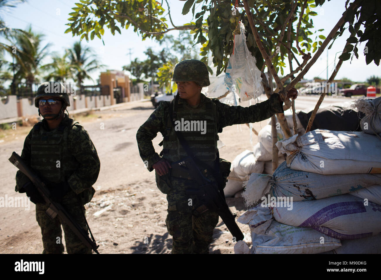 Knights templar cartel hi-res stock photography and images - Alamy