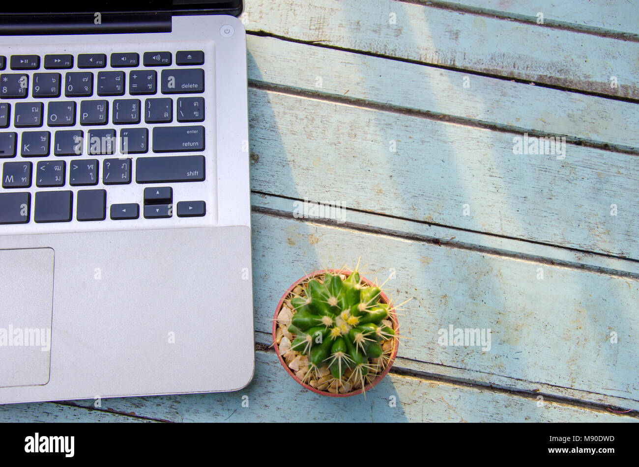 Computer and Cactus on Blue Wood Table Stock Photo - Alamy