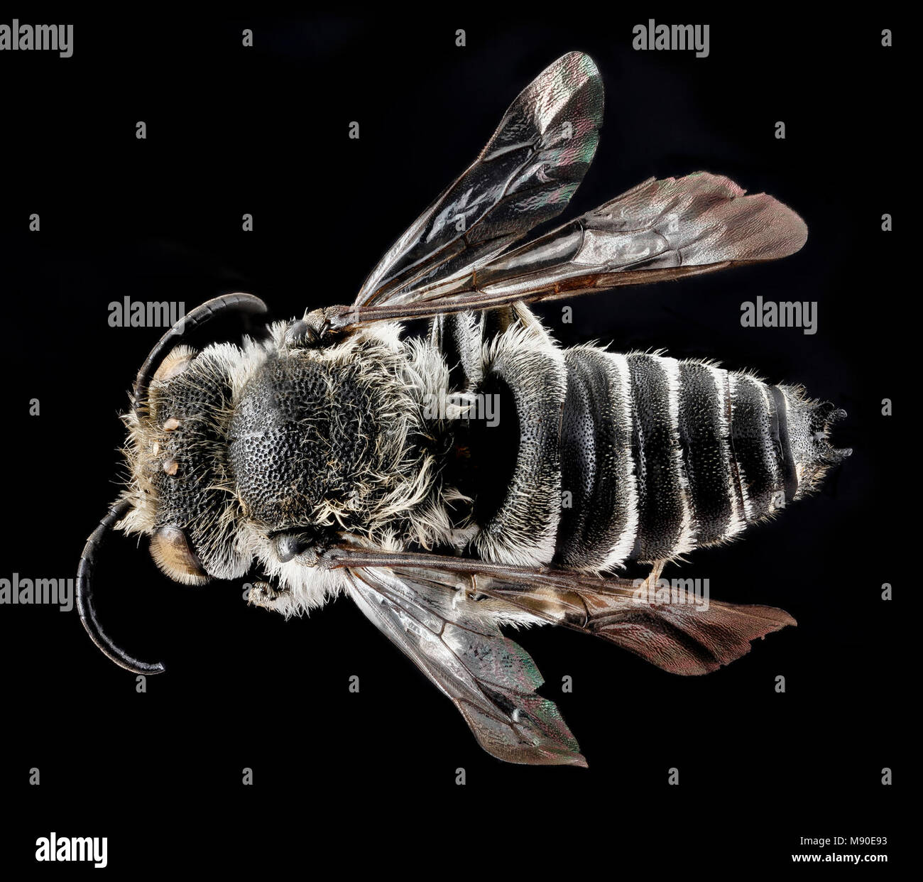 Stacker hi res hi-res stock photography and images - Alamy