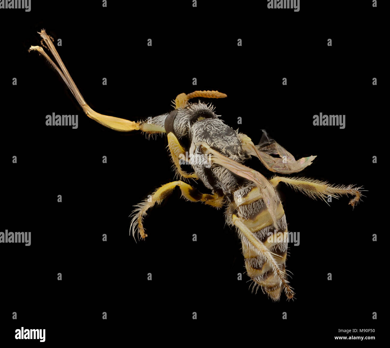 Chile hi res hi-res stock photography and images - Alamy