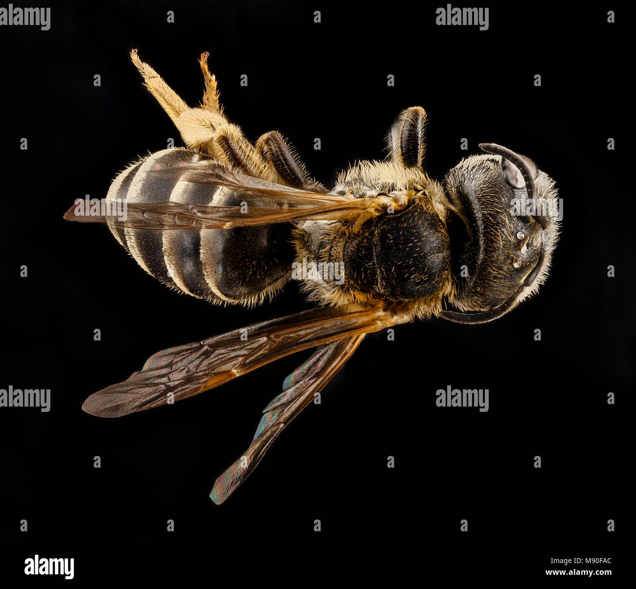 Stacker hi res hi-res stock photography and images - Alamy