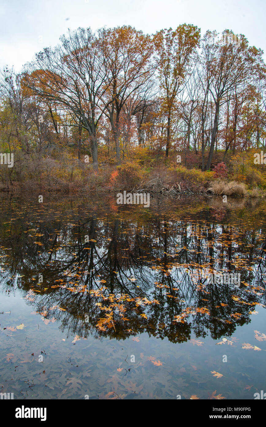 Fall scenes in a park Stock Photo - Alamy