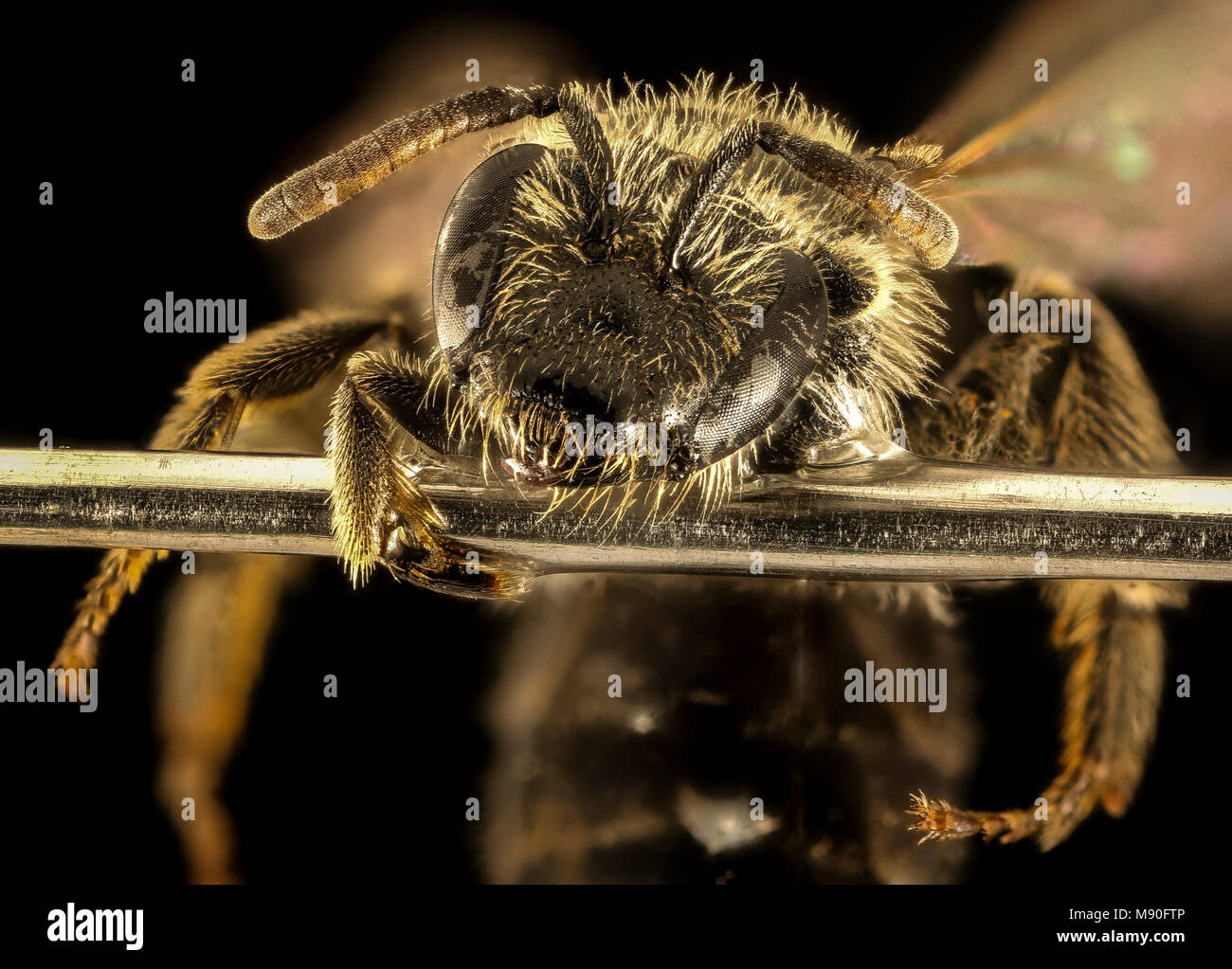 Stacker hi res hi-res stock photography and images - Alamy