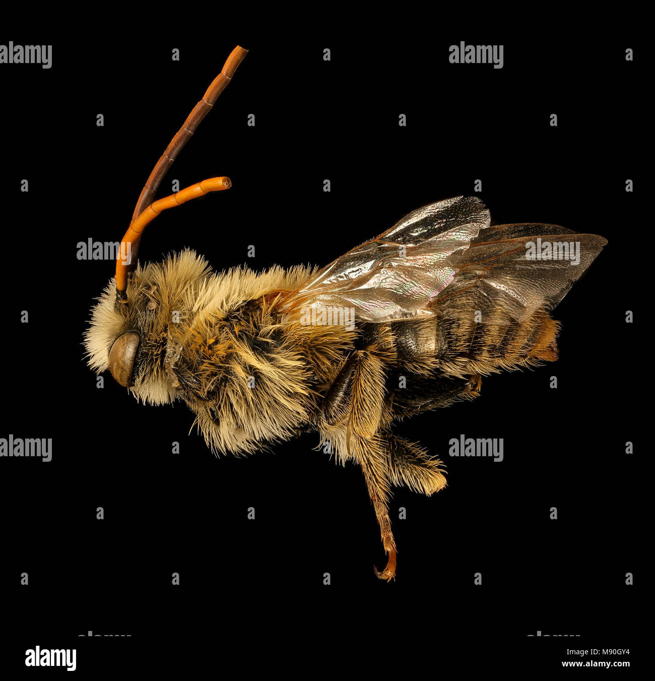 Long hi res hi-res stock photography and images - Alamy