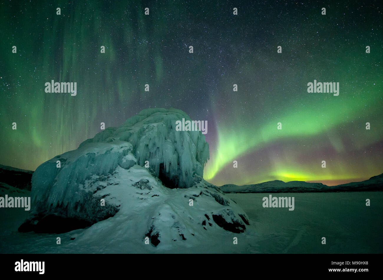 Boreal Pole High Resolution Stock Photography and Images - Alamy