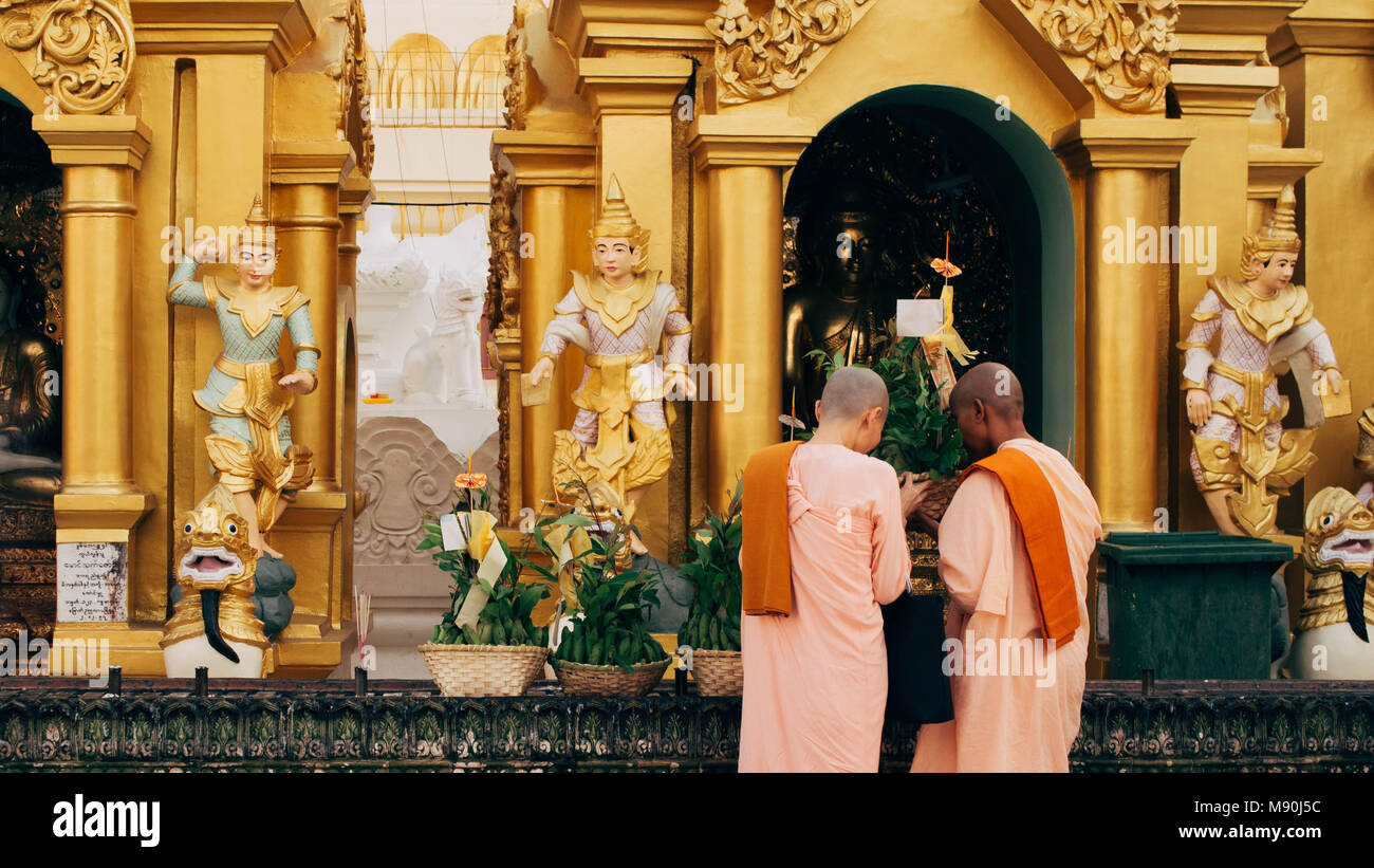 Young Burmesee female monks praying at Shwedagon Pagoda Stock Photo - Alamy