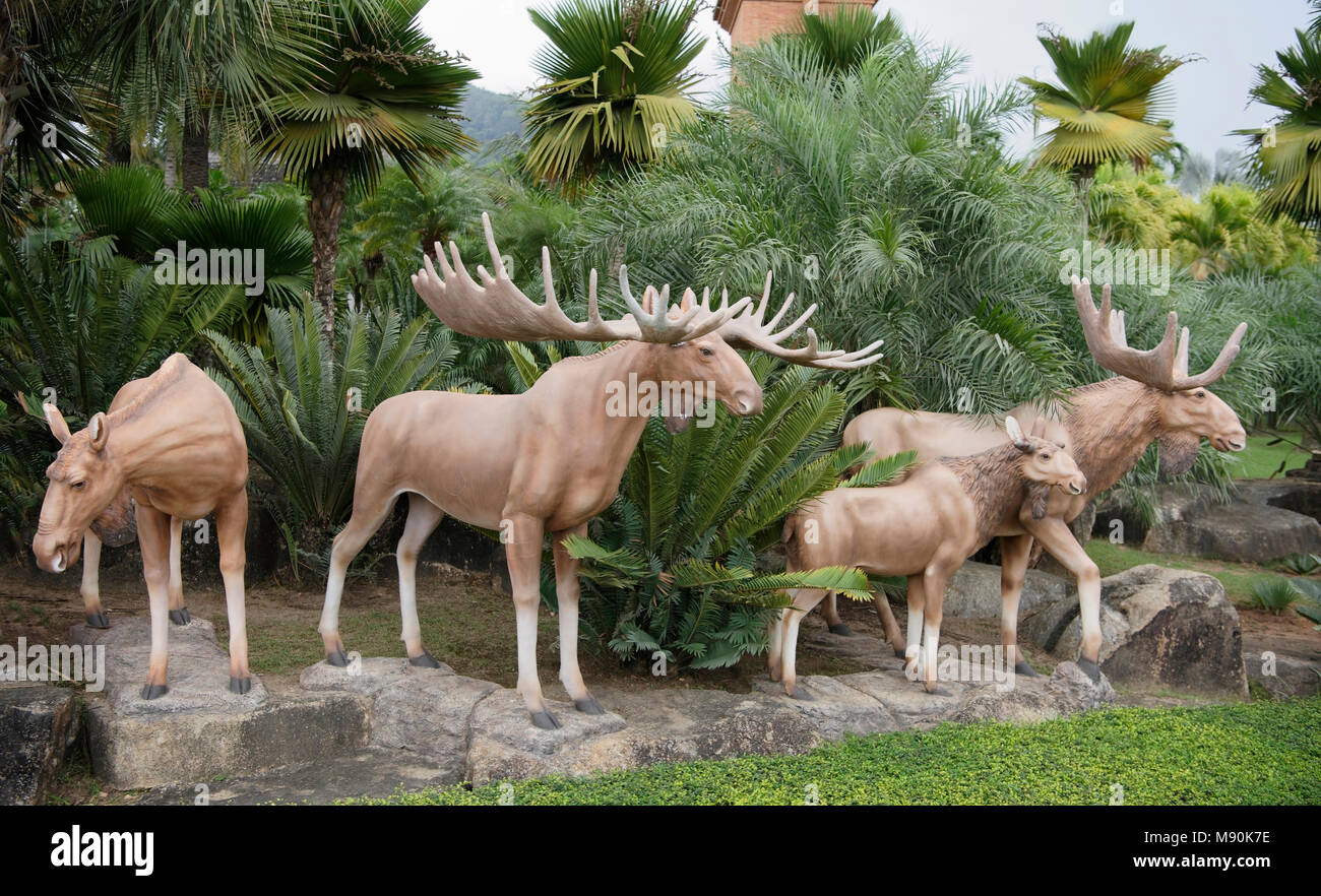 Pattaya animals hi-res stock photography and images - Alamy