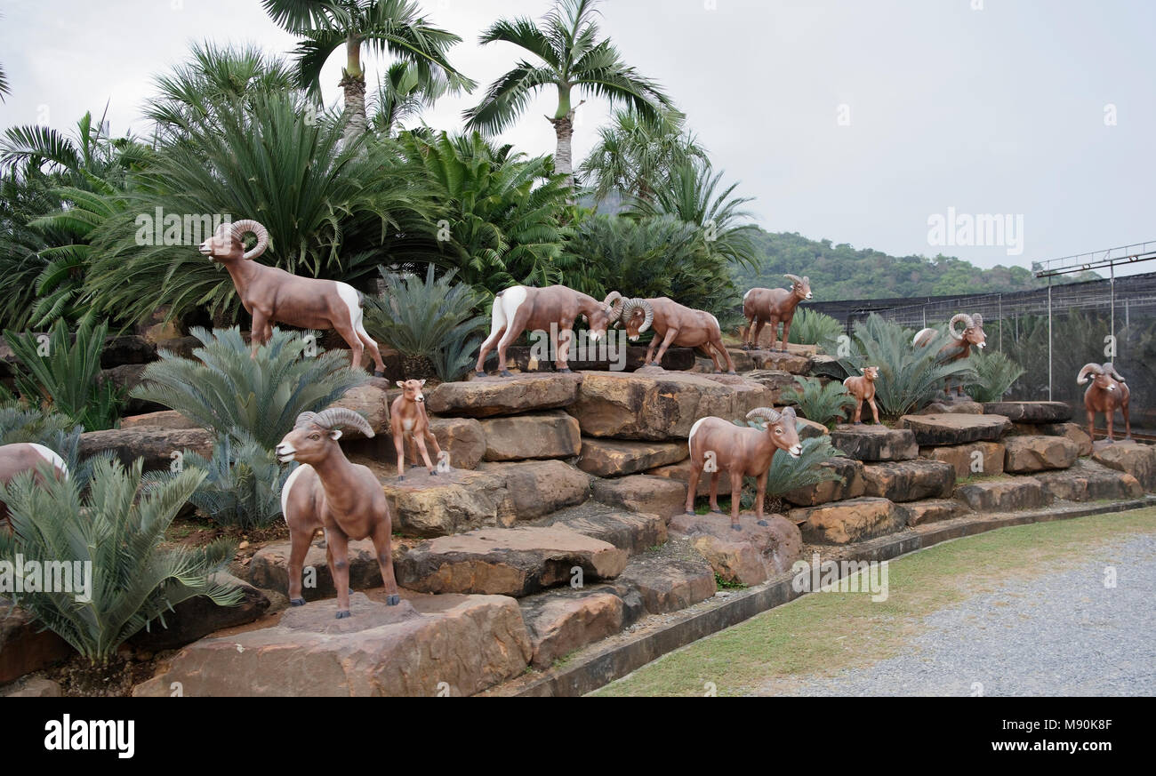 Pattaya animals hi-res stock photography and images - Alamy