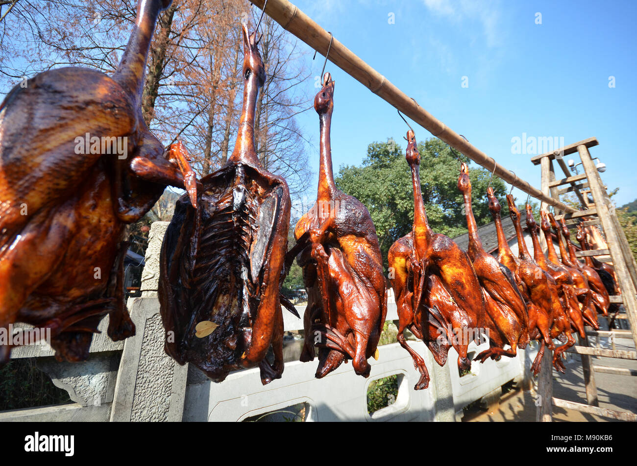 Waxed duck hi-res stock photography and images - Alamy