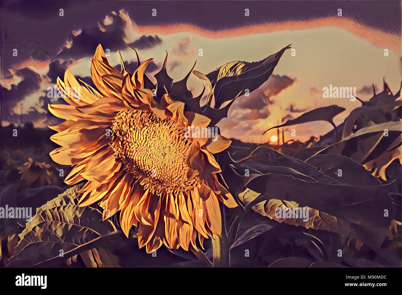 Sunset drawing hi-res stock photography and images - Alamy