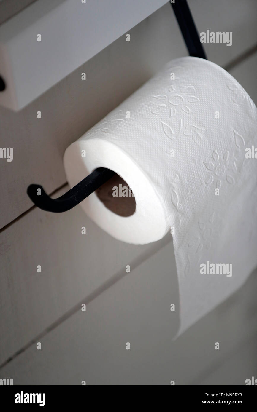 Rolled toilet paper hanging in the bathroom Stock Photo - Alamy