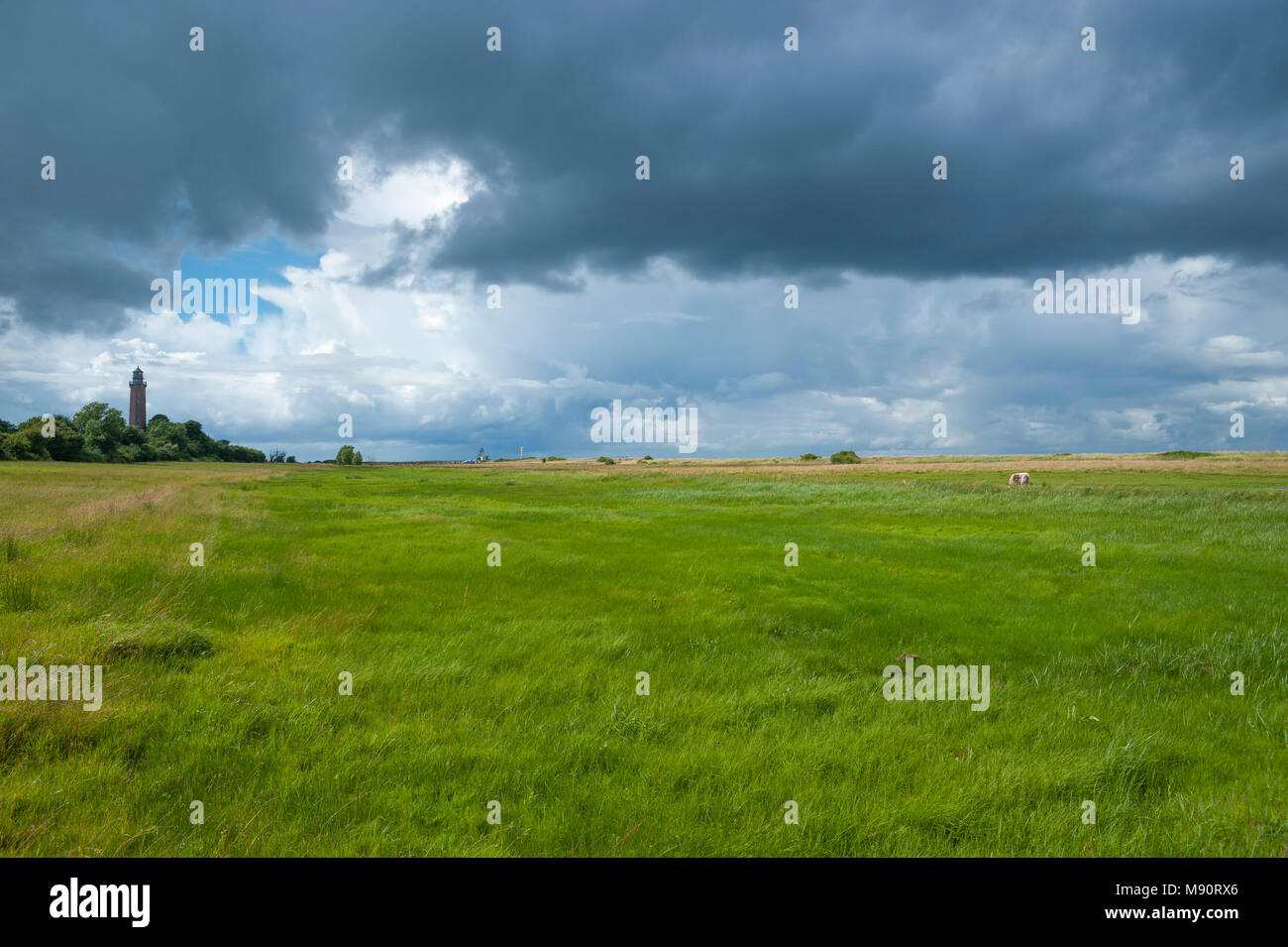 Nature reserve hohwachter bay hi-res stock photography and images - Alamy