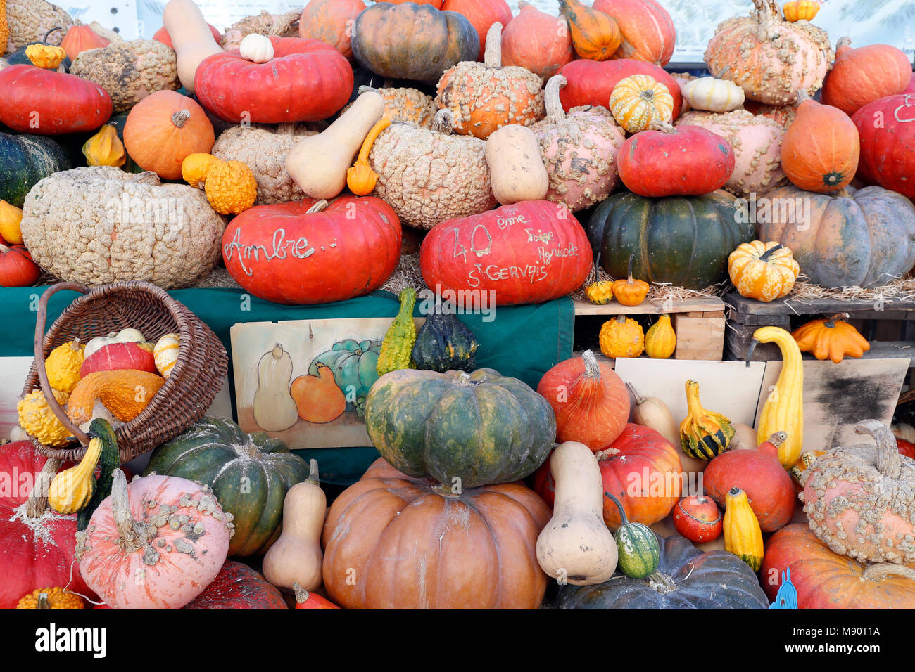 Sale of pumpkins hi-res stock photography and images - Alamy