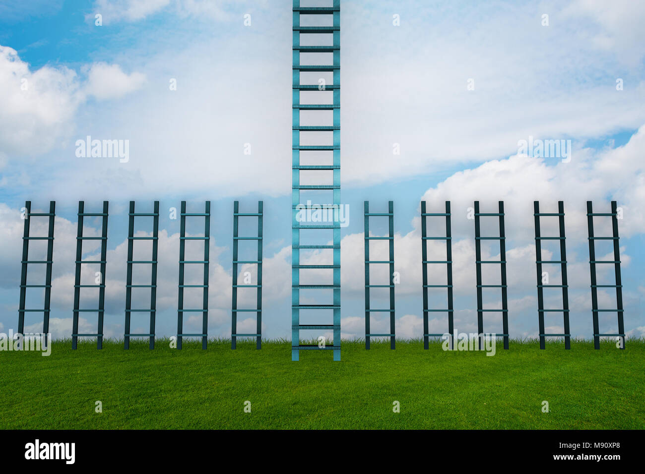 Different ladders in career progression concept Stock Photo - Alamy
