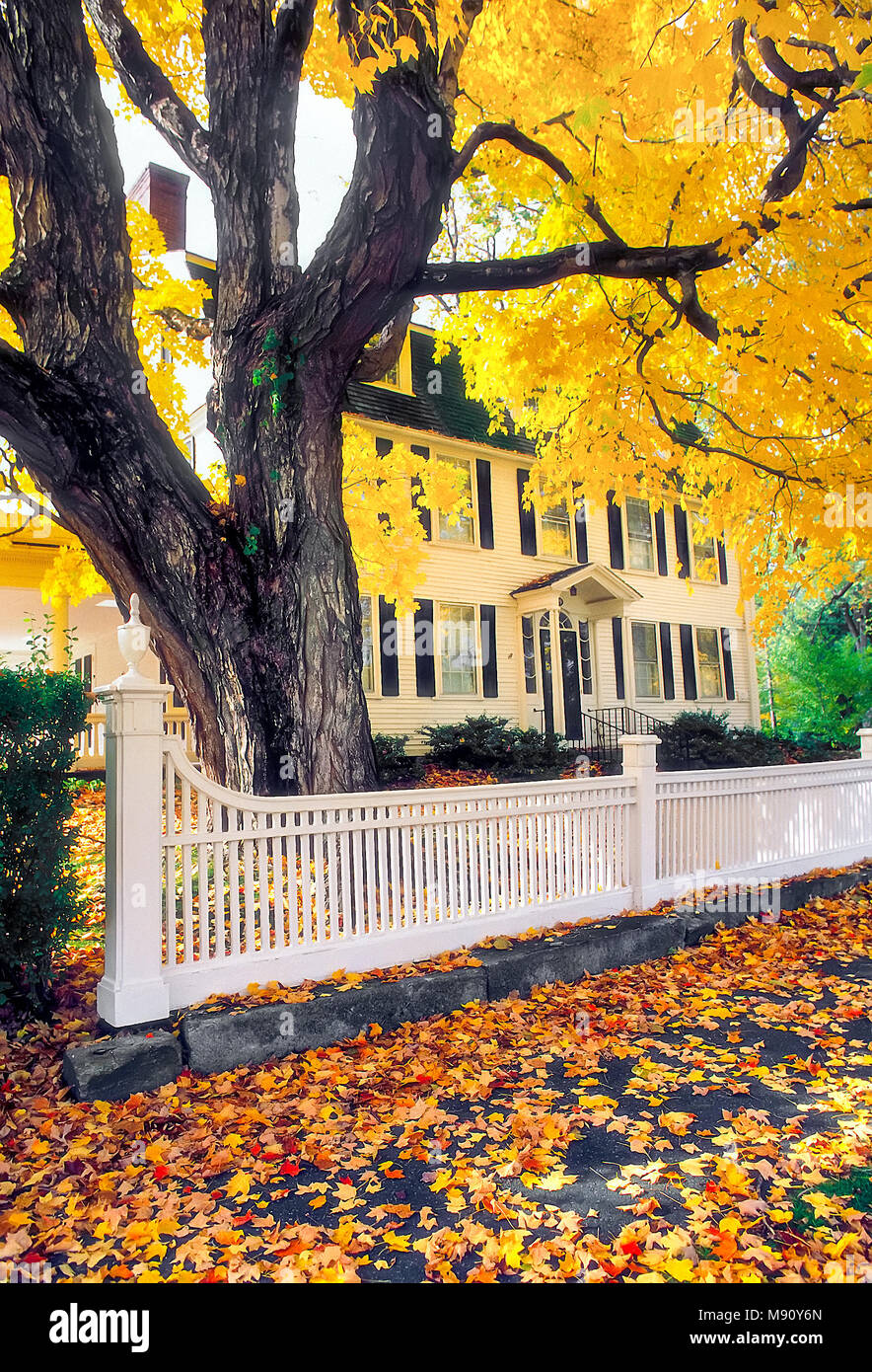 A formal white fence in front of a Colonial style home, the Lynde Lord ...