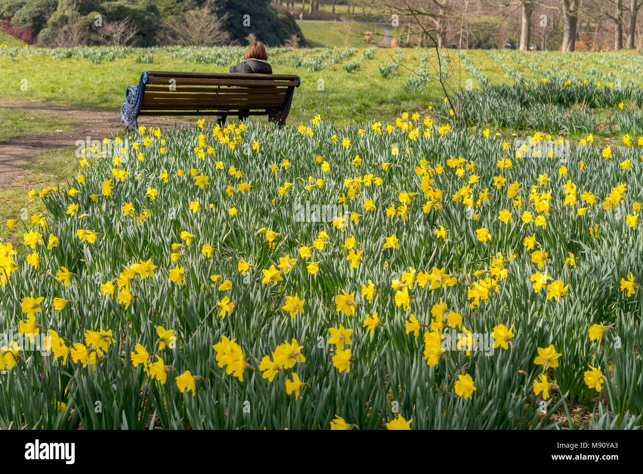 Woman seated on park bench hi-res stock photography and images - Alamy