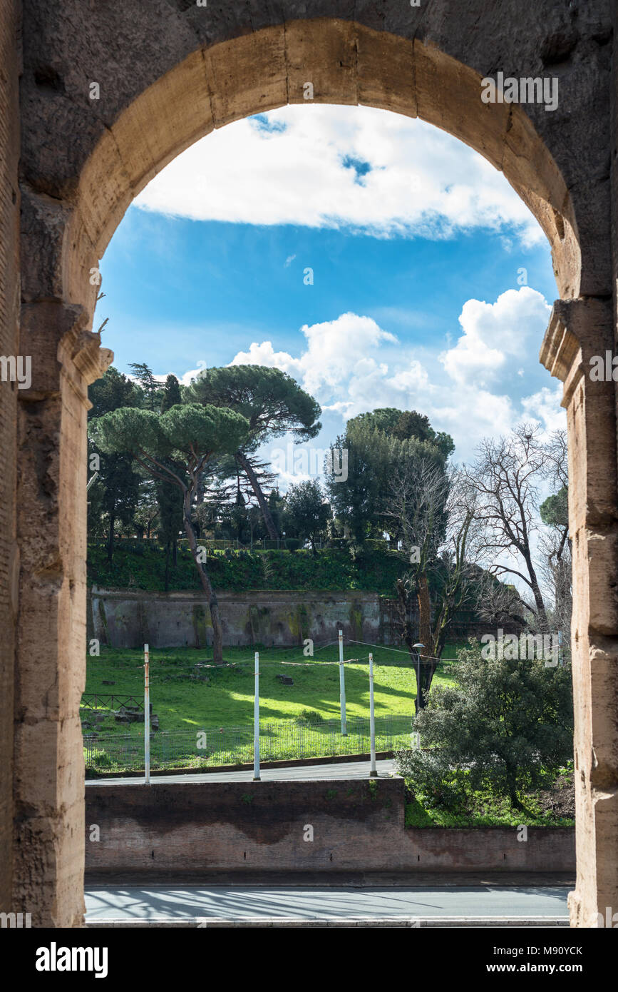 Vertical picture of local vegetation .View from the Coliseum in Rome ...