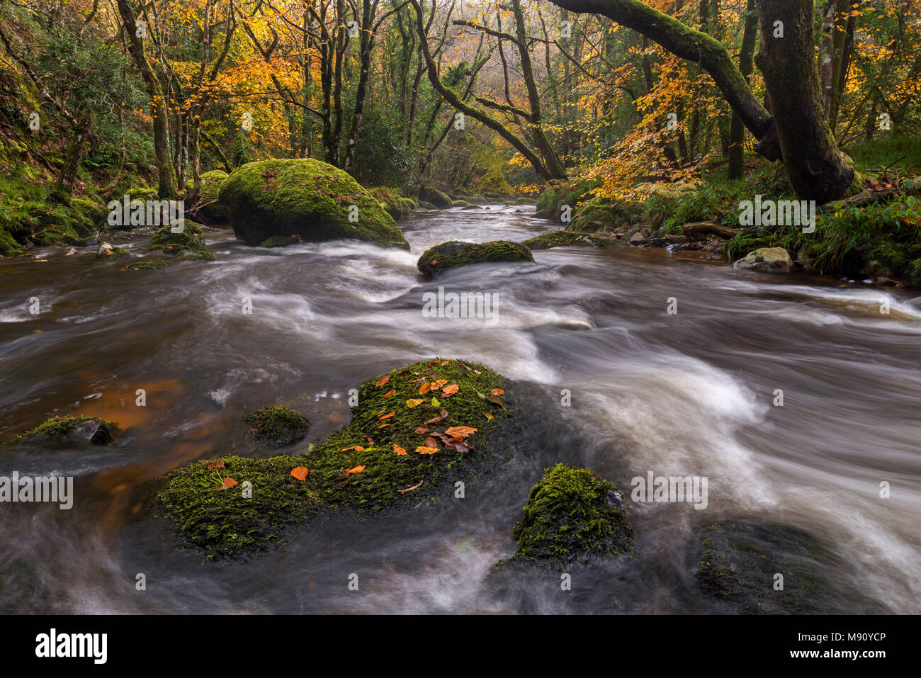 Bridge between rocks hi-res stock photography and images - Alamy