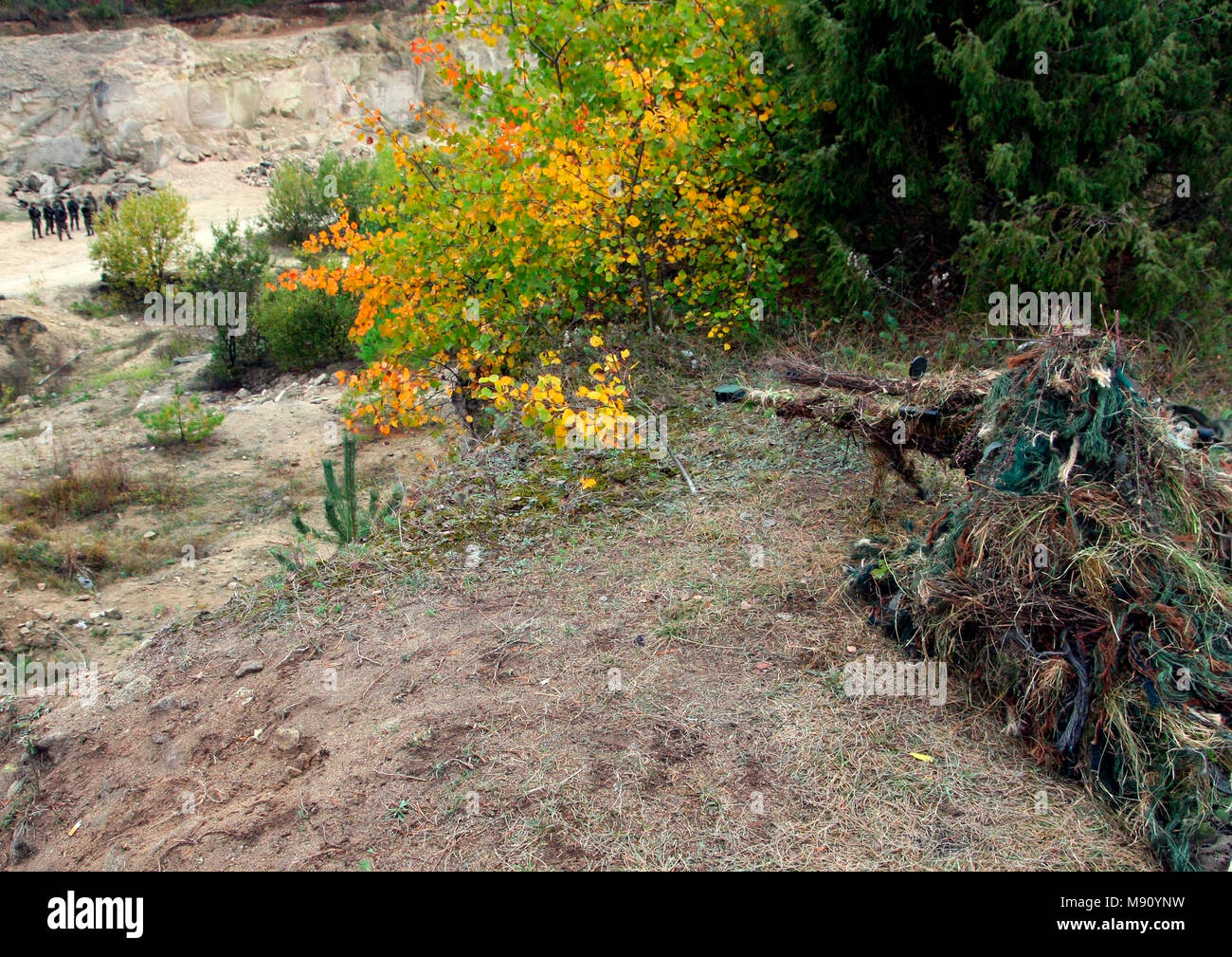 Camouflage Hunter or soldier aiming hiding in bushes in camouflage ...