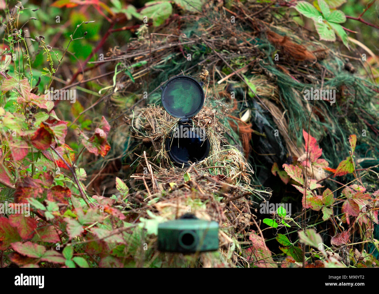 Camouflage Hunter or soldier hiding in bushes in camouflage autumn ...