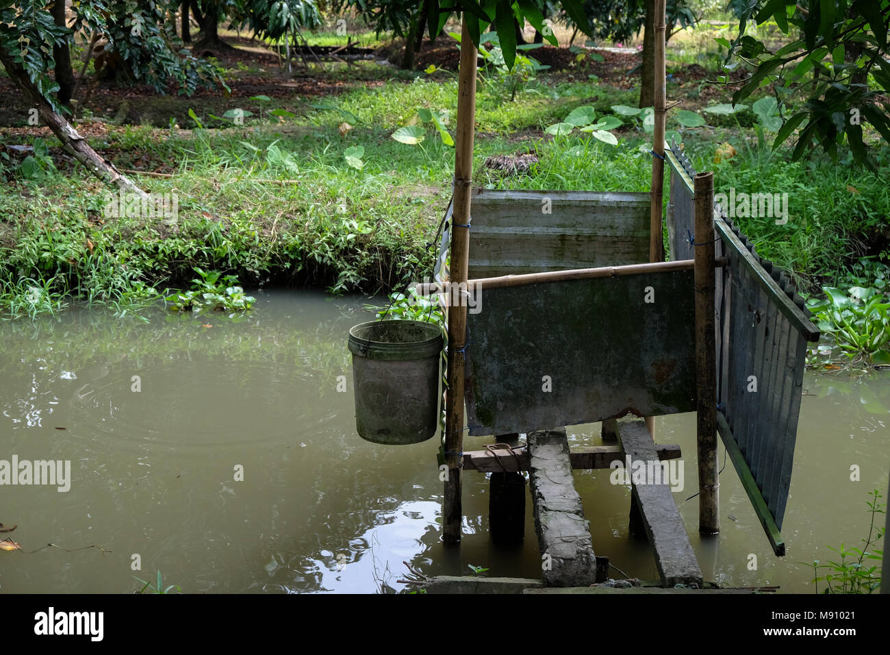 Traditional toilet. Royalty high quality free stock image of ...