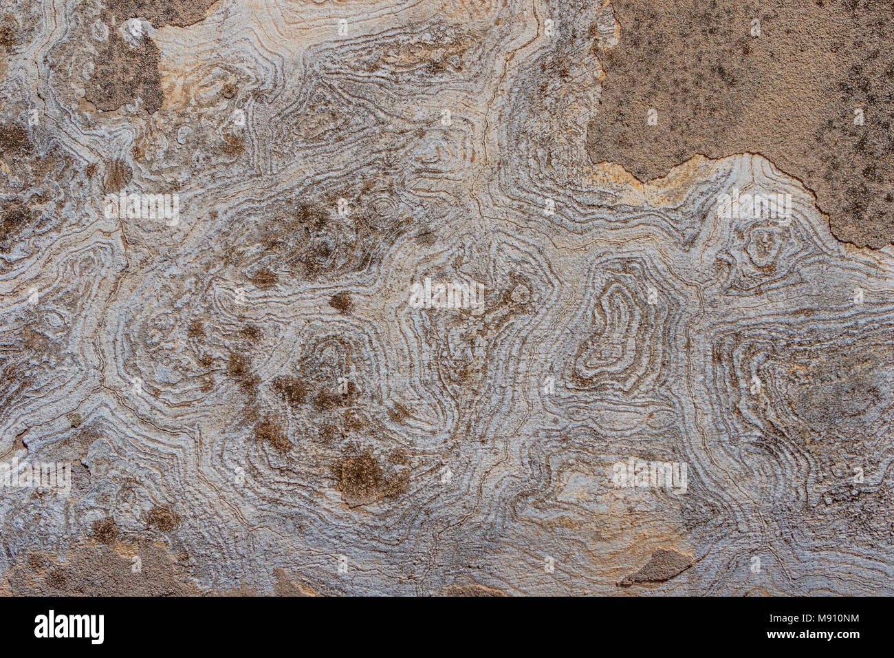Striation texture hi-res stock photography and images - Alamy