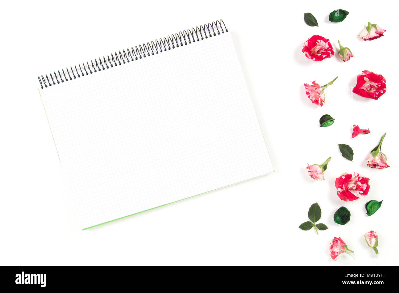 Top view table rose Cut Out Stock Images & Pictures - Alamy