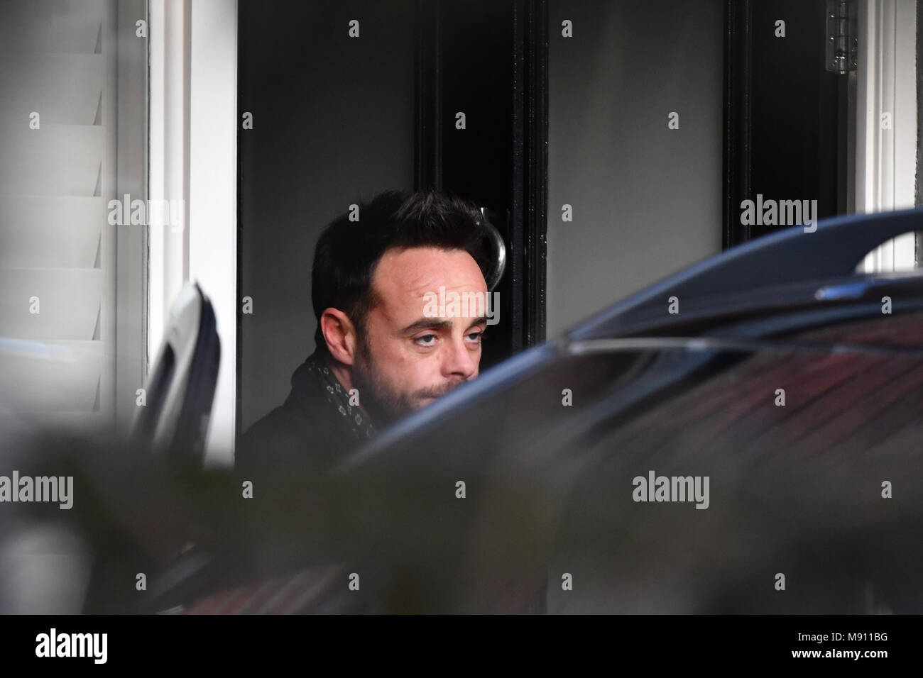 Ant mcpartlin house hi-res stock photography and images - Alamy