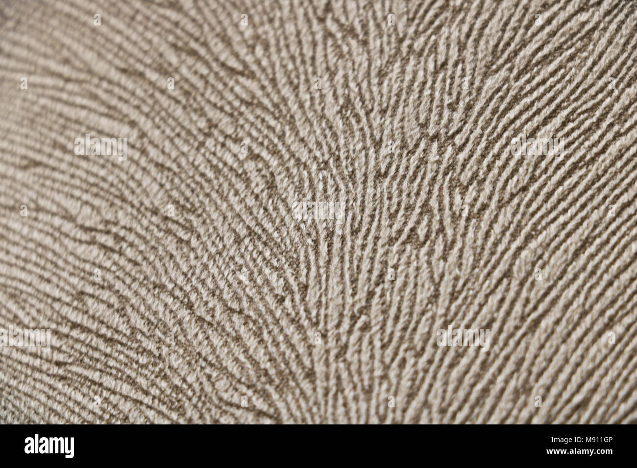 Beige fabric texture hi-res stock photography and images - Alamy