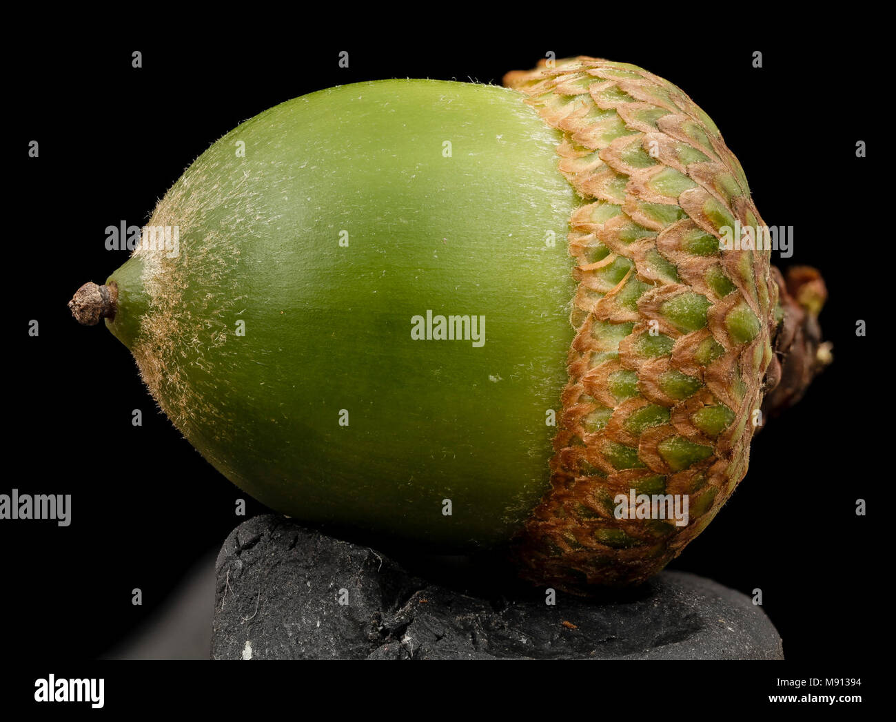 Sequence hi res hi-res stock photography and images - Alamy