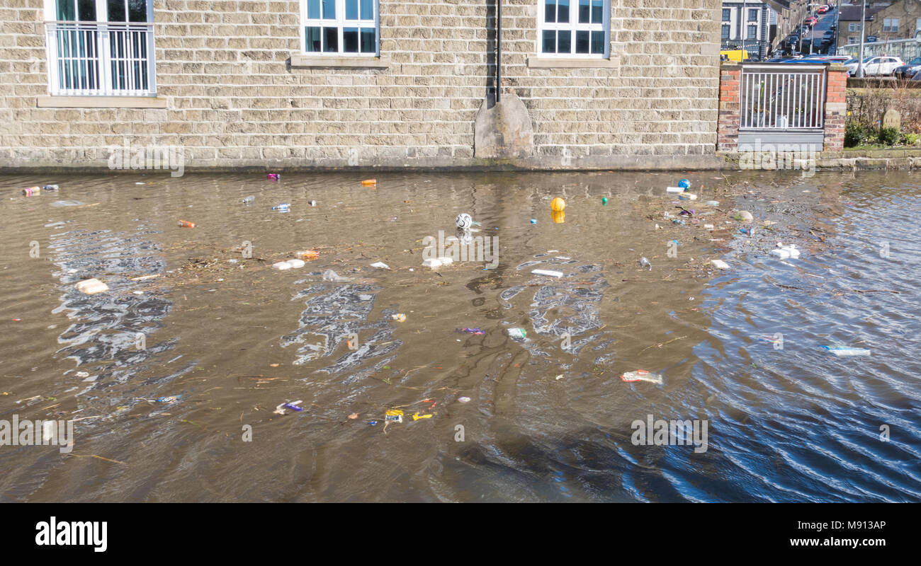 Litter in a Canal Stock Photo - Alamy