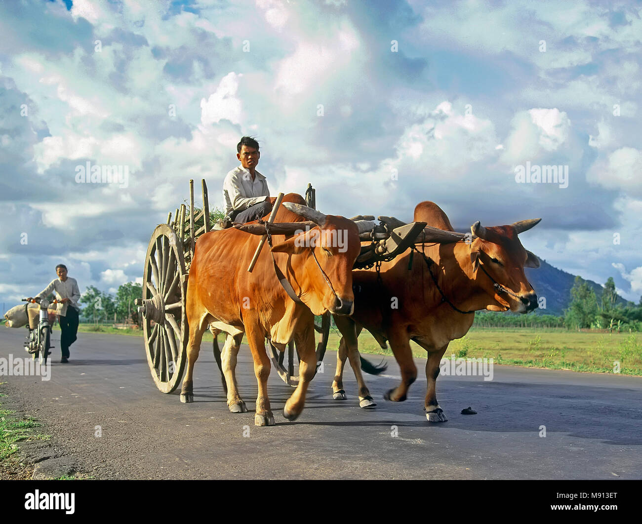 Bullock cart driver hi-res stock photography and images - Alamy