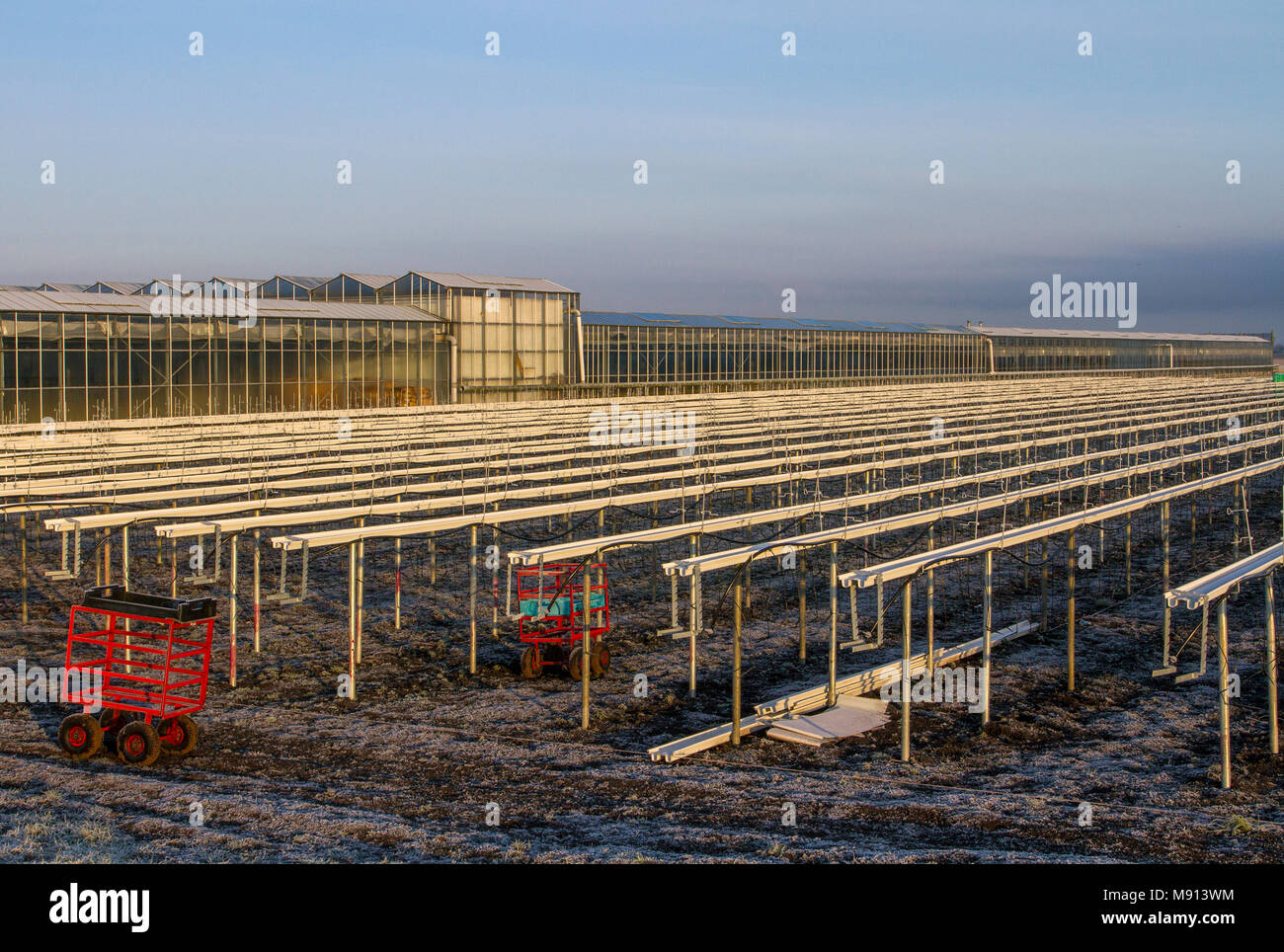 Growing in cold frames hi-res stock photography and images - Alamy