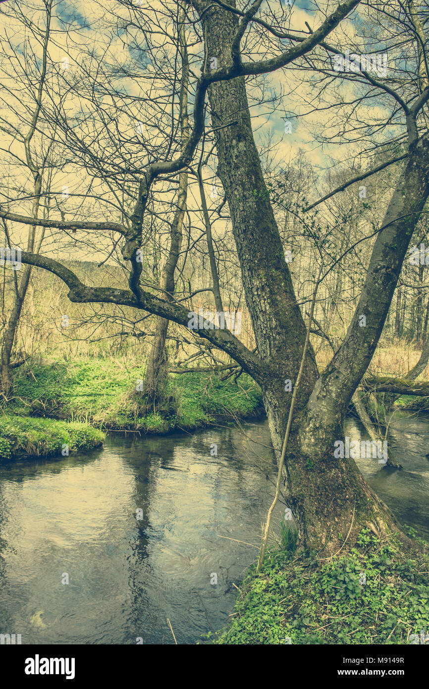 Vintage photo of green river hi-res stock photography and images - Alamy