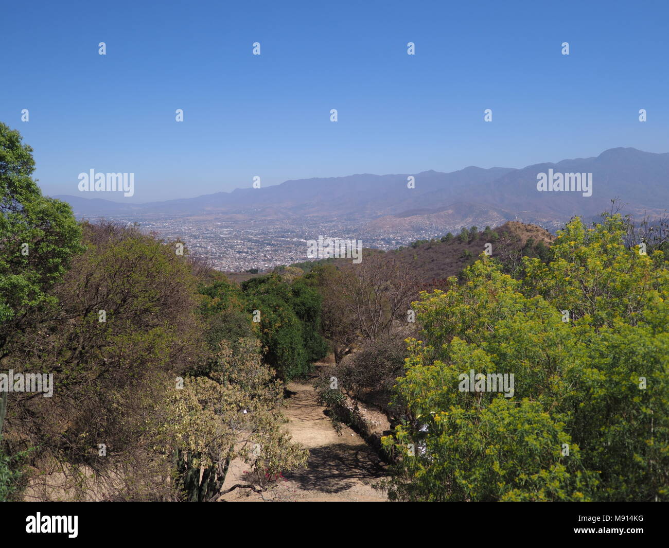 Scenic mexican mountainside path and landscapes with colorful plants ...