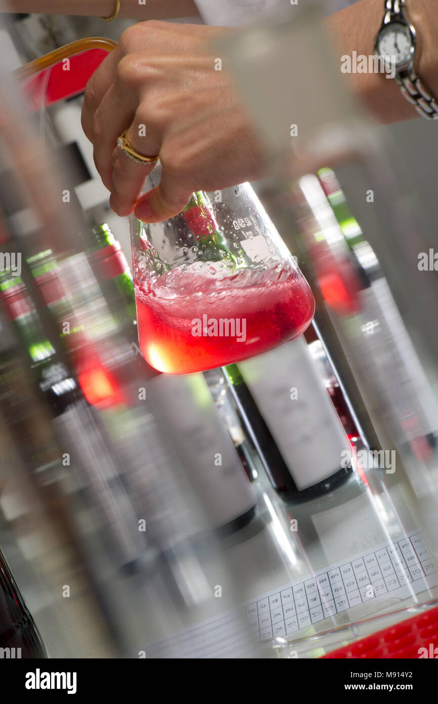 Laboratory, Science, Scientific, Research, Healthcare And Medici Stock ...