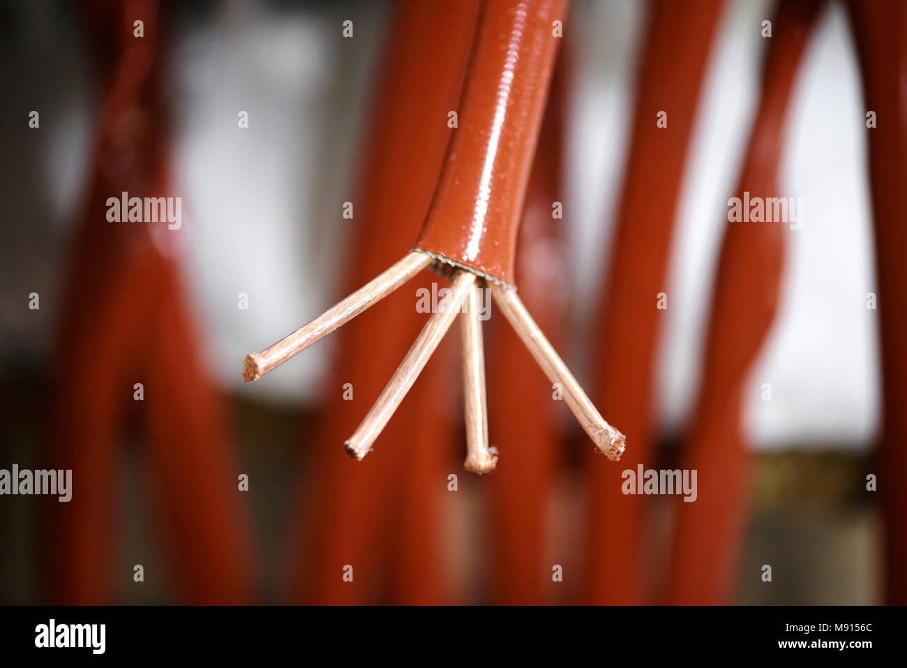 Stripped electrical wire copper hi-res stock photography and images - Alamy