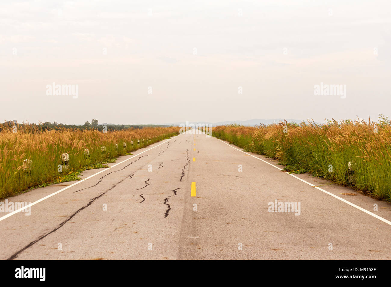 Roads in rural areas with grassy pastures.With clouds sky background ...
