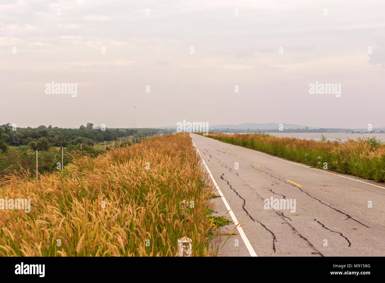 Roads in rural areas with grassy pastures.With clouds sky background ...