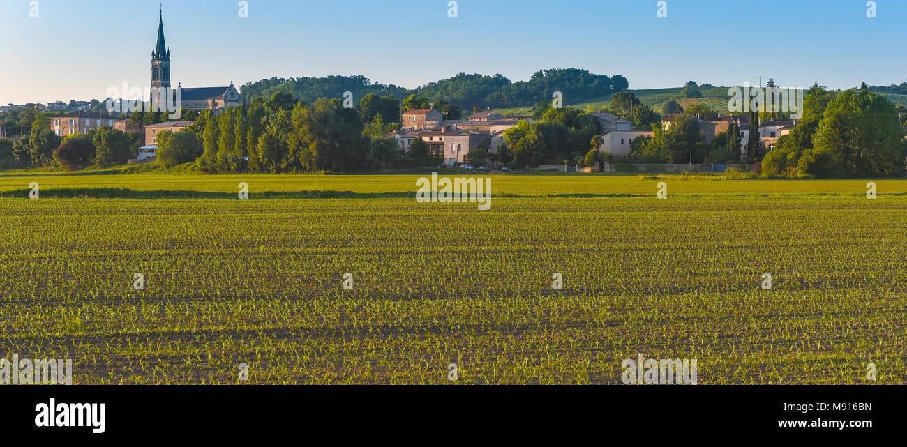 Corn Field, French Countryside Stock Photo - Alamy