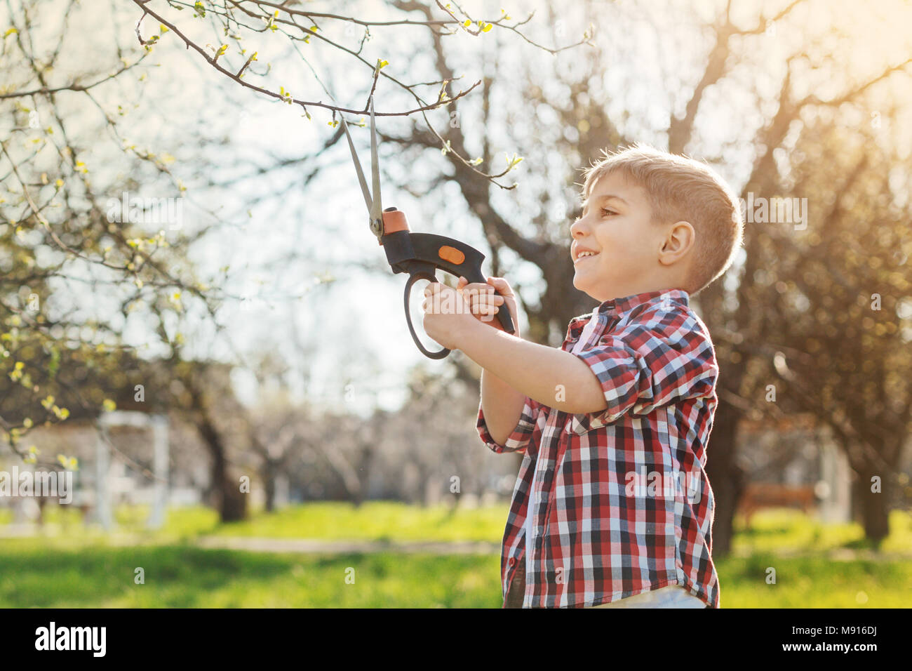 Smiling little boy pruning the tree Stock Photo - Alamy