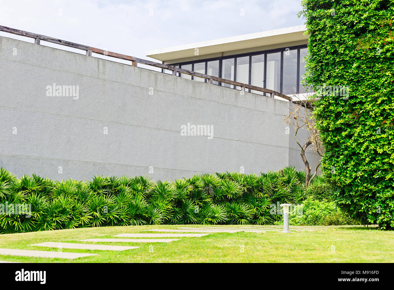 Trees for decoration place with building background Stock Photo - Alamy