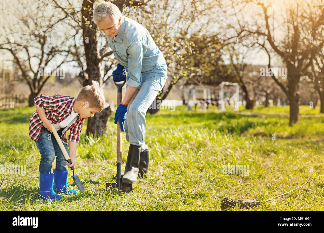 Child and adult digging garden hi-res stock photography and images - Alamy