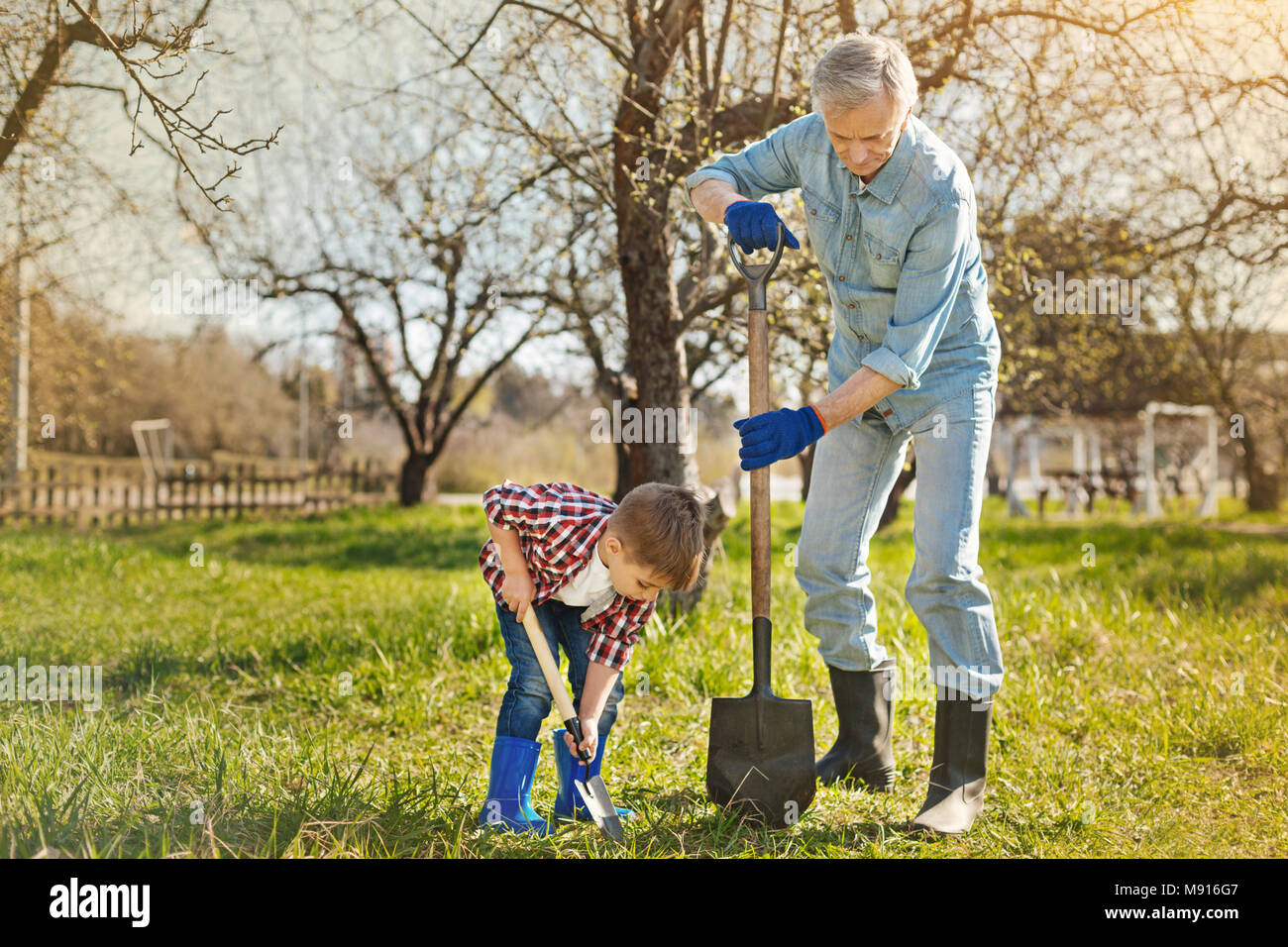 Nice little boy working in the garden with his grandfather Stock Photo ...