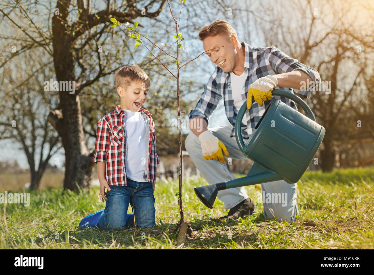 Cheerful man and his little son watering a tree Stock Photo - Alamy