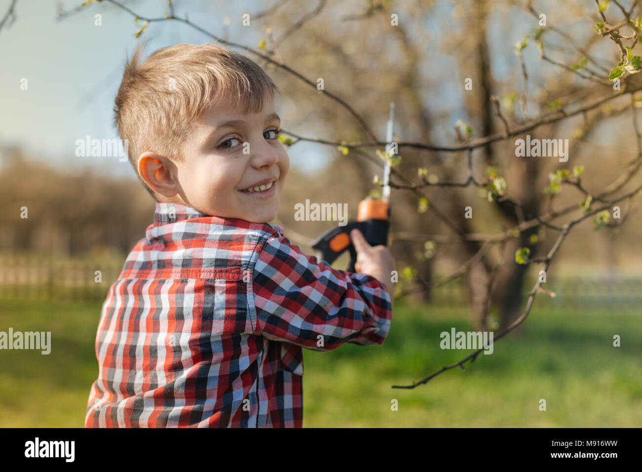 Cheerful little boy pruning a tree Stock Photo - Alamy