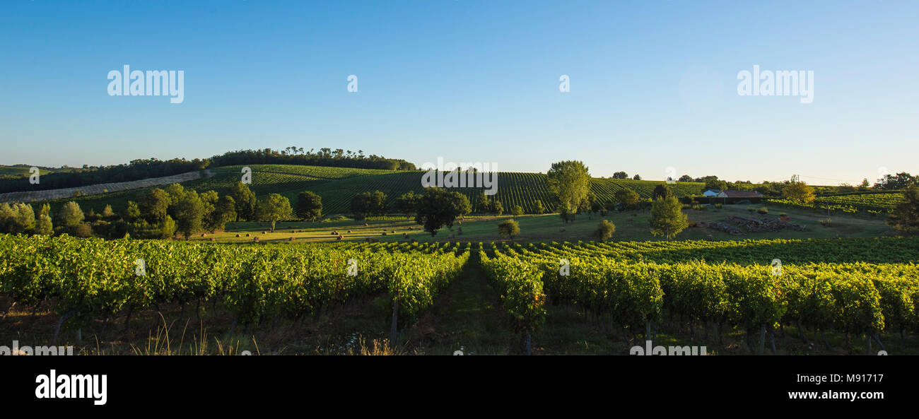 Sunset landscape bordeaux wineyard france hi-res stock photography and ...