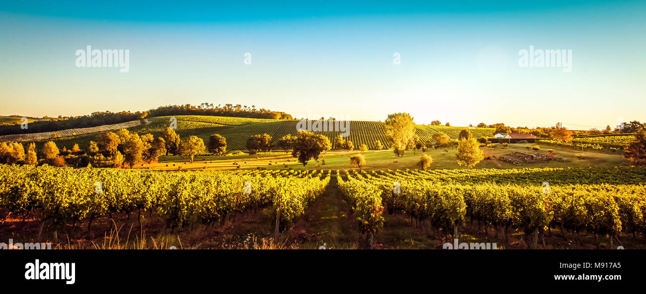 Sunset landscape bordeaux wineyard france hi-res stock photography and ...