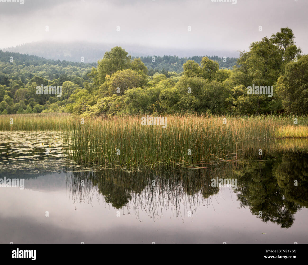 Loch ceander hi-res stock photography and images - Alamy